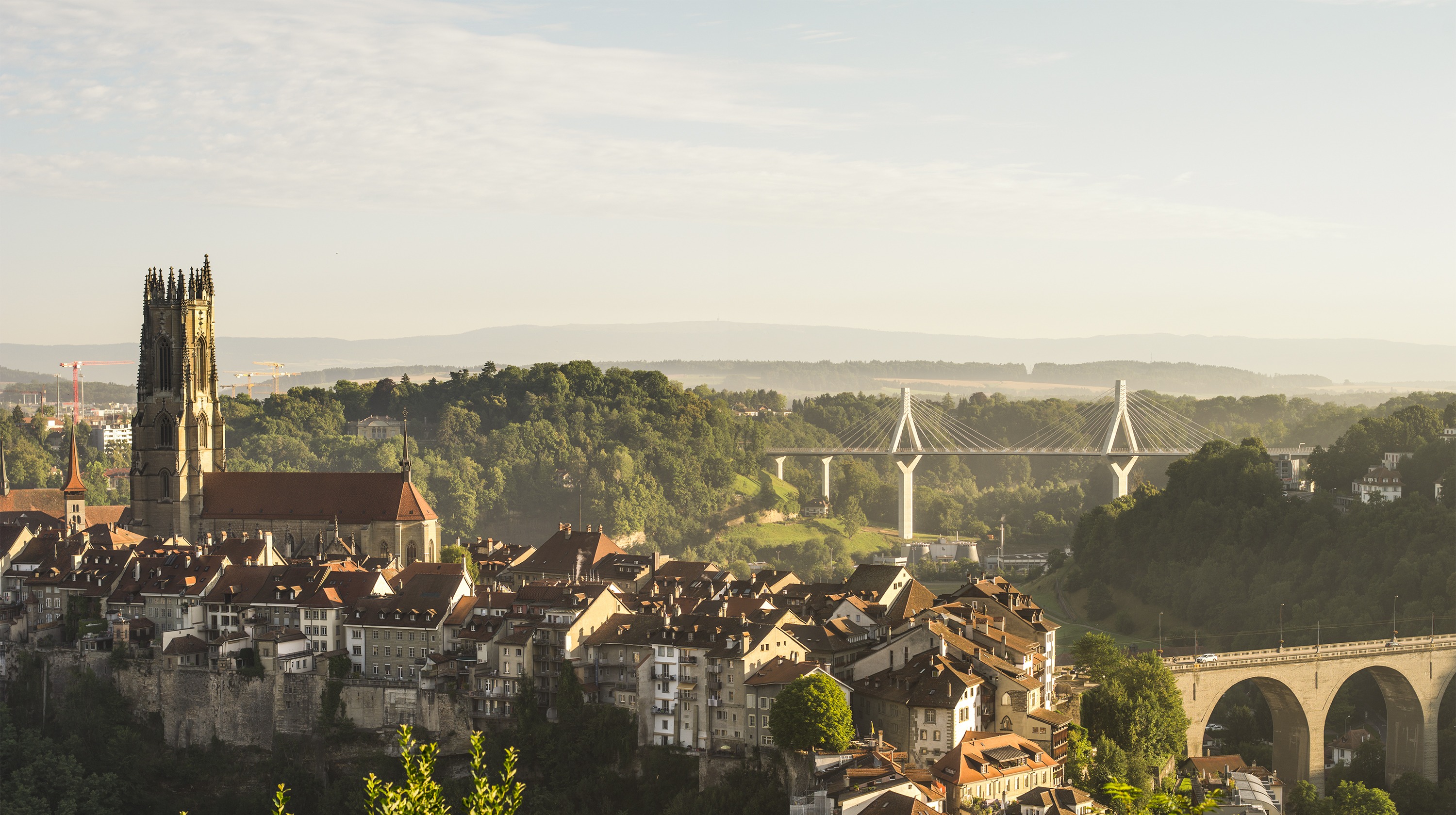 4P- 4 Pfeiler der Freiburger Wirtschaft